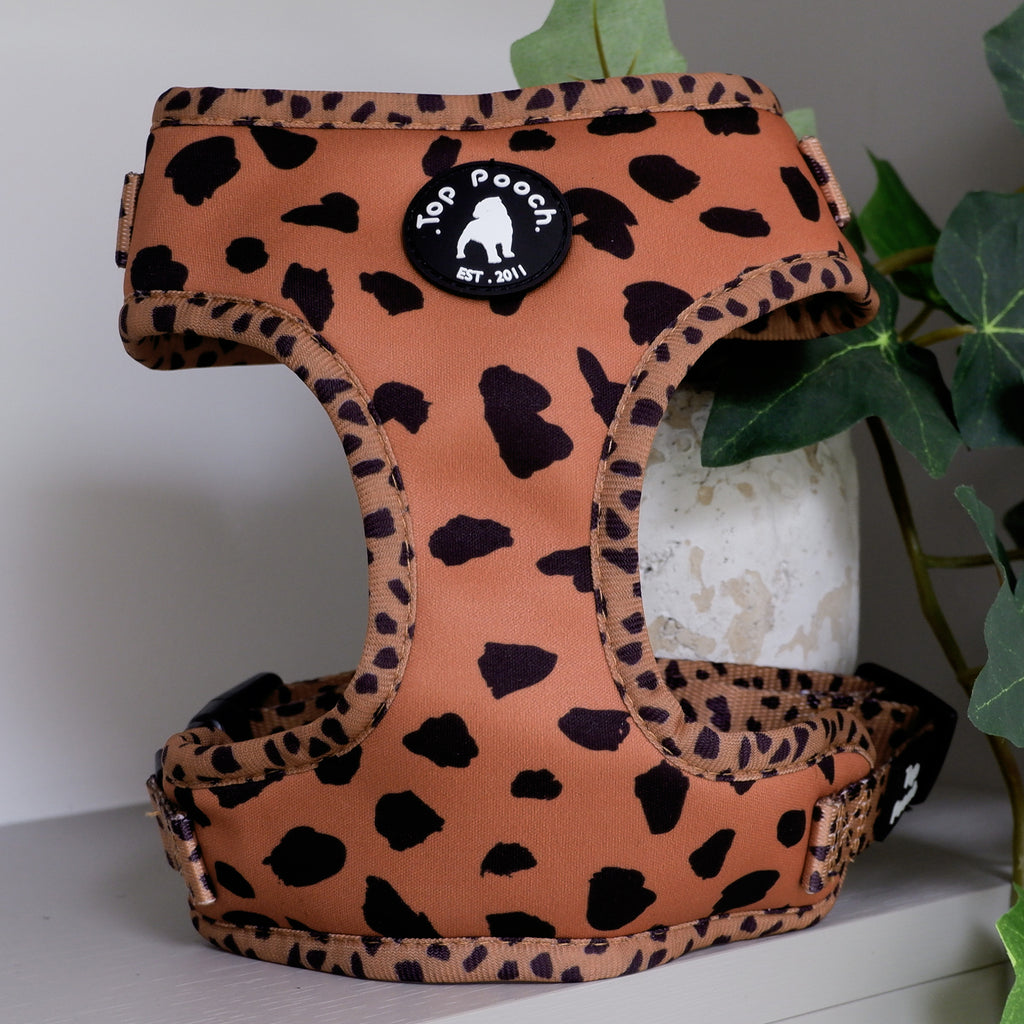 Animal Print Dog Harness - Rust/Copper – Top Pooch Ltd